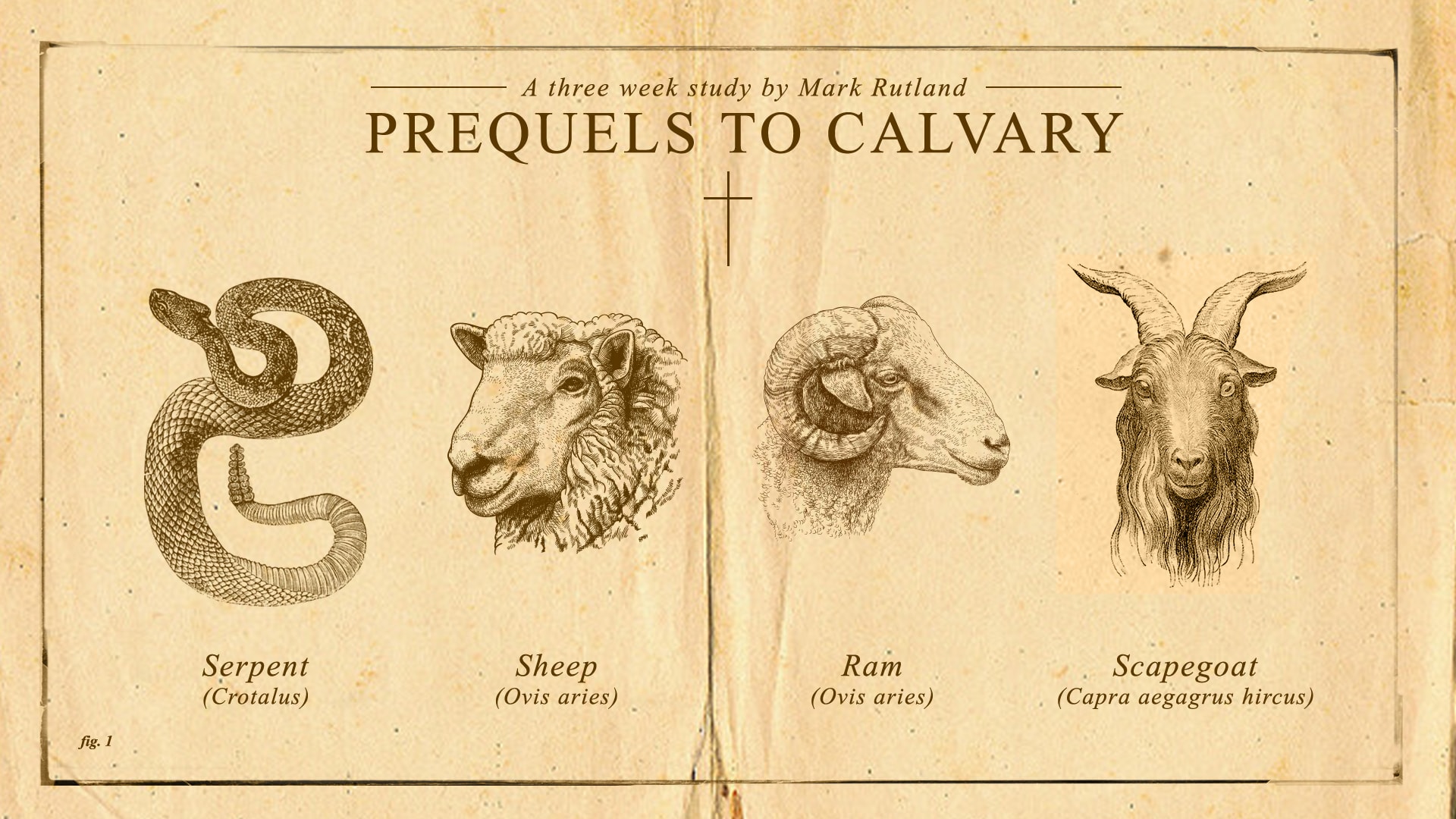 Prequels to Calvary - Part 1 - Serpent - Grace Chapel